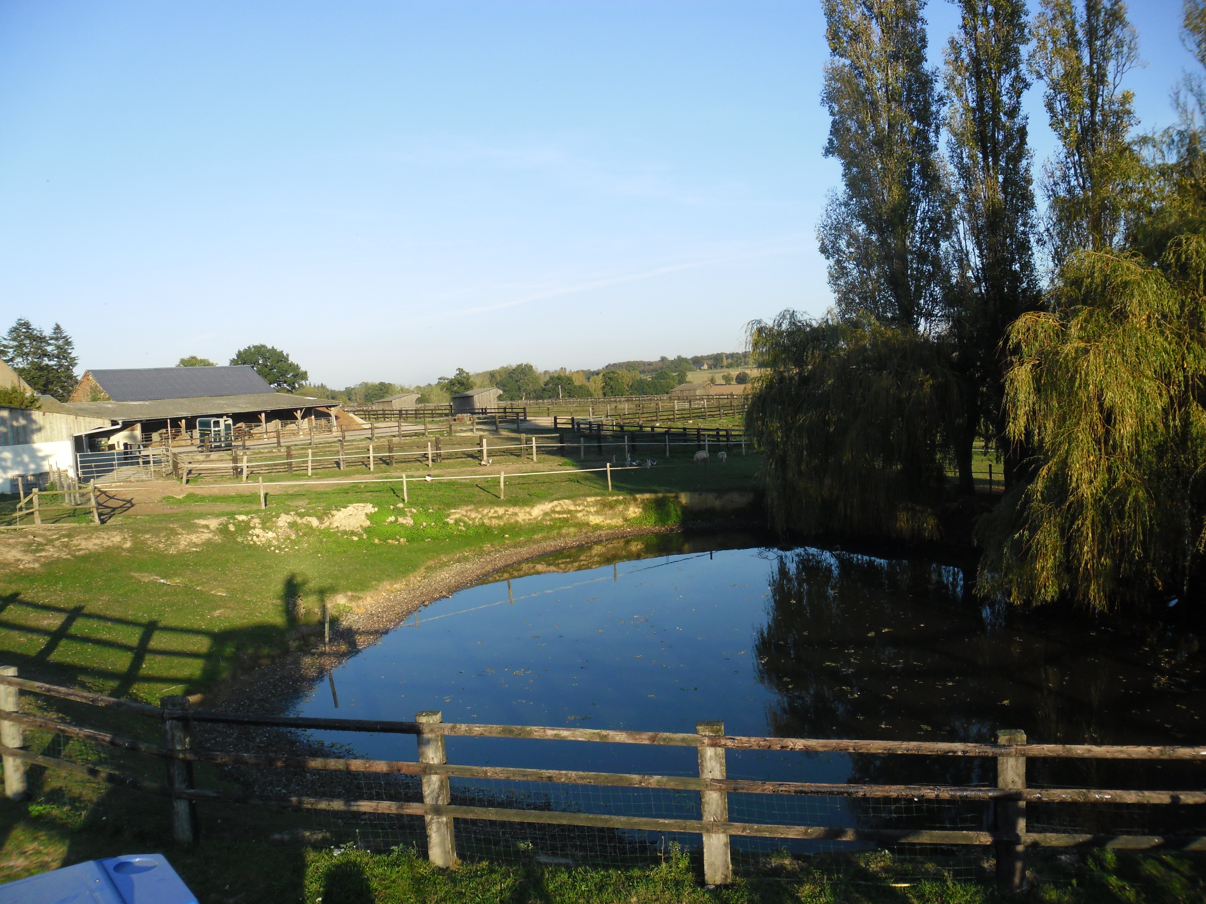 images haras du boulay